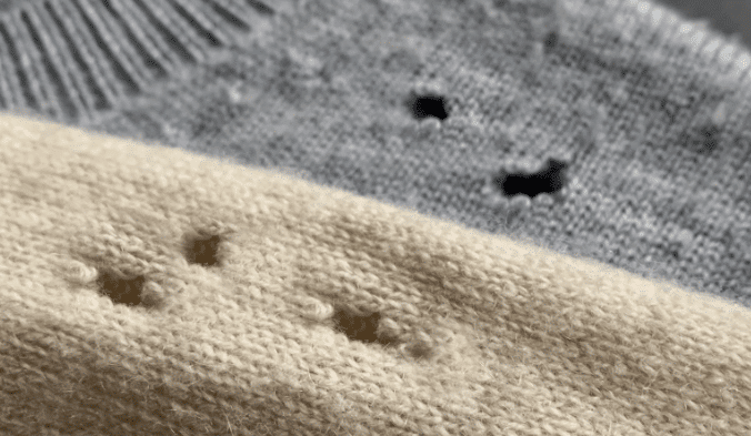 Tarme dei Vestiti: Come Eliminarle?