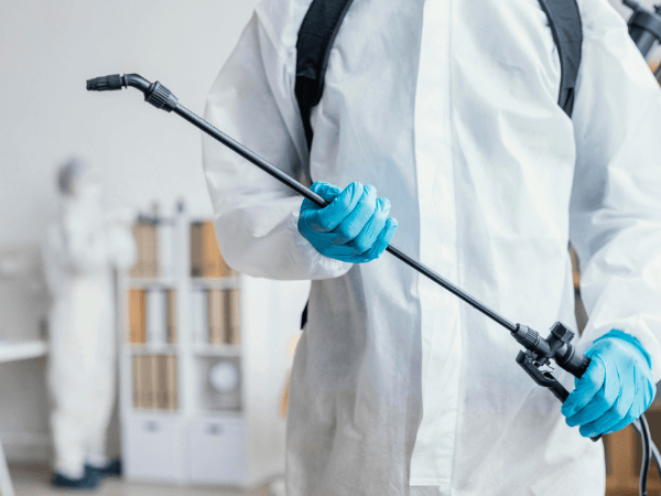 Disinfestazione in Sicurezza: Proteggere Famiglia e Animali Domestici